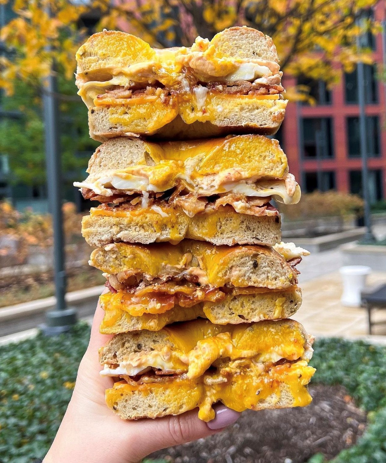 Home | Western Bagel Wholesale